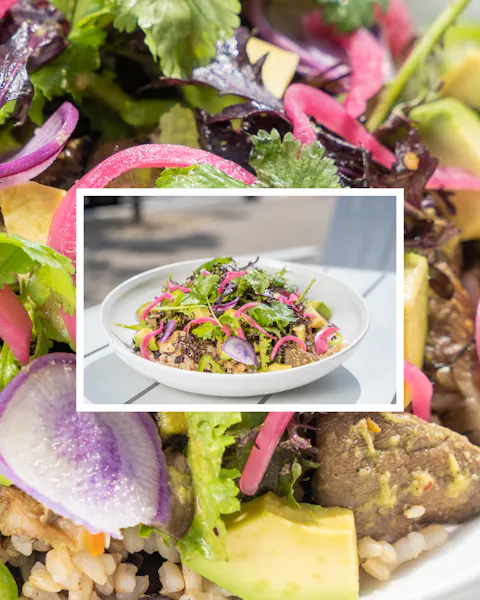Coronado Menus | Parakeet Cafe in CA