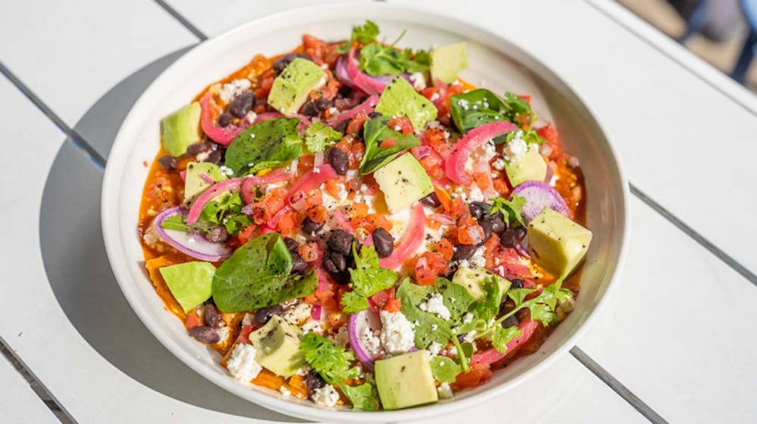 Nautilis Menus | Parakeet Cafe in CA