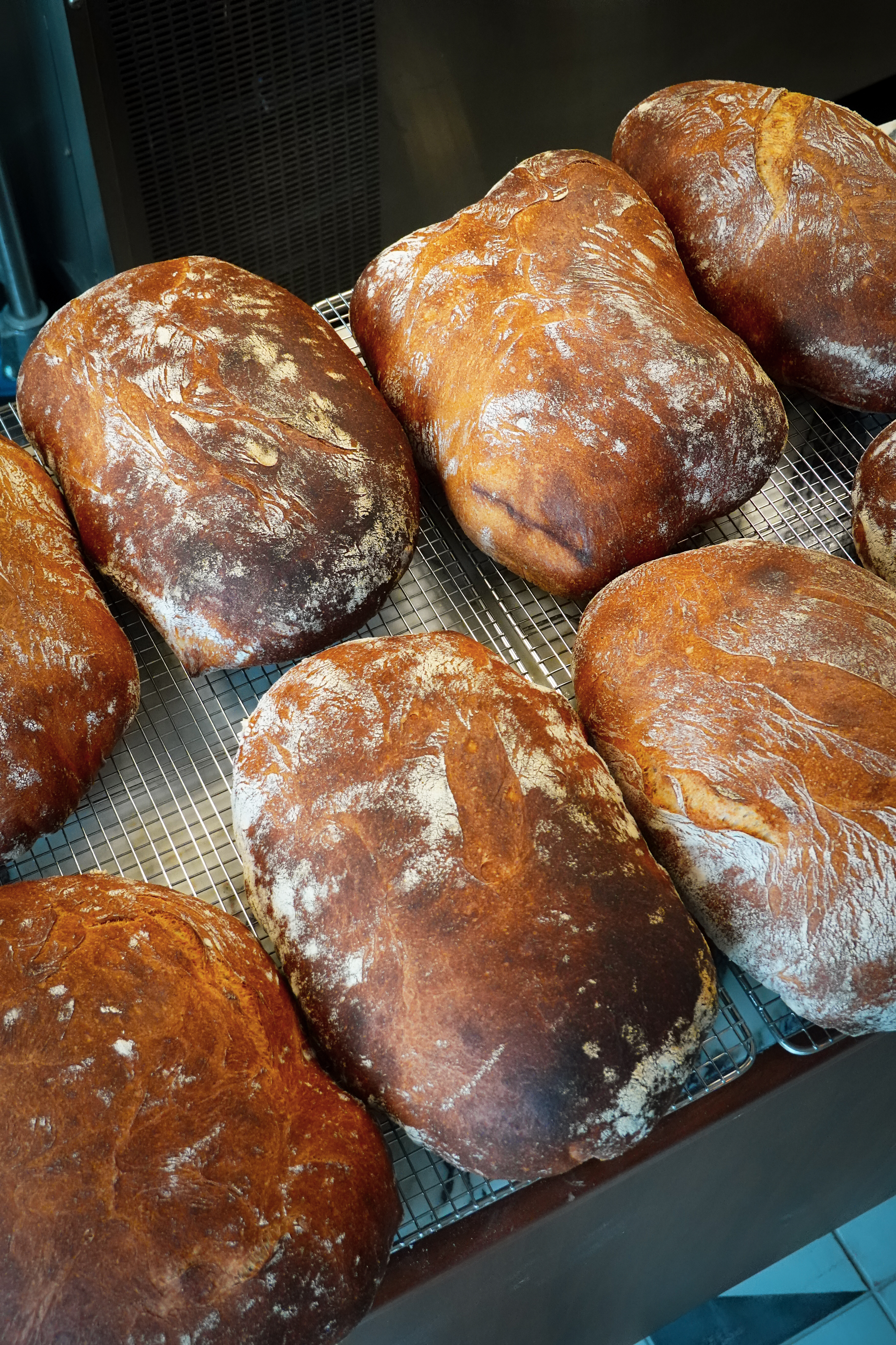Sourdough Loaf | Eastern Standard | American Restaurant in Boston, MA