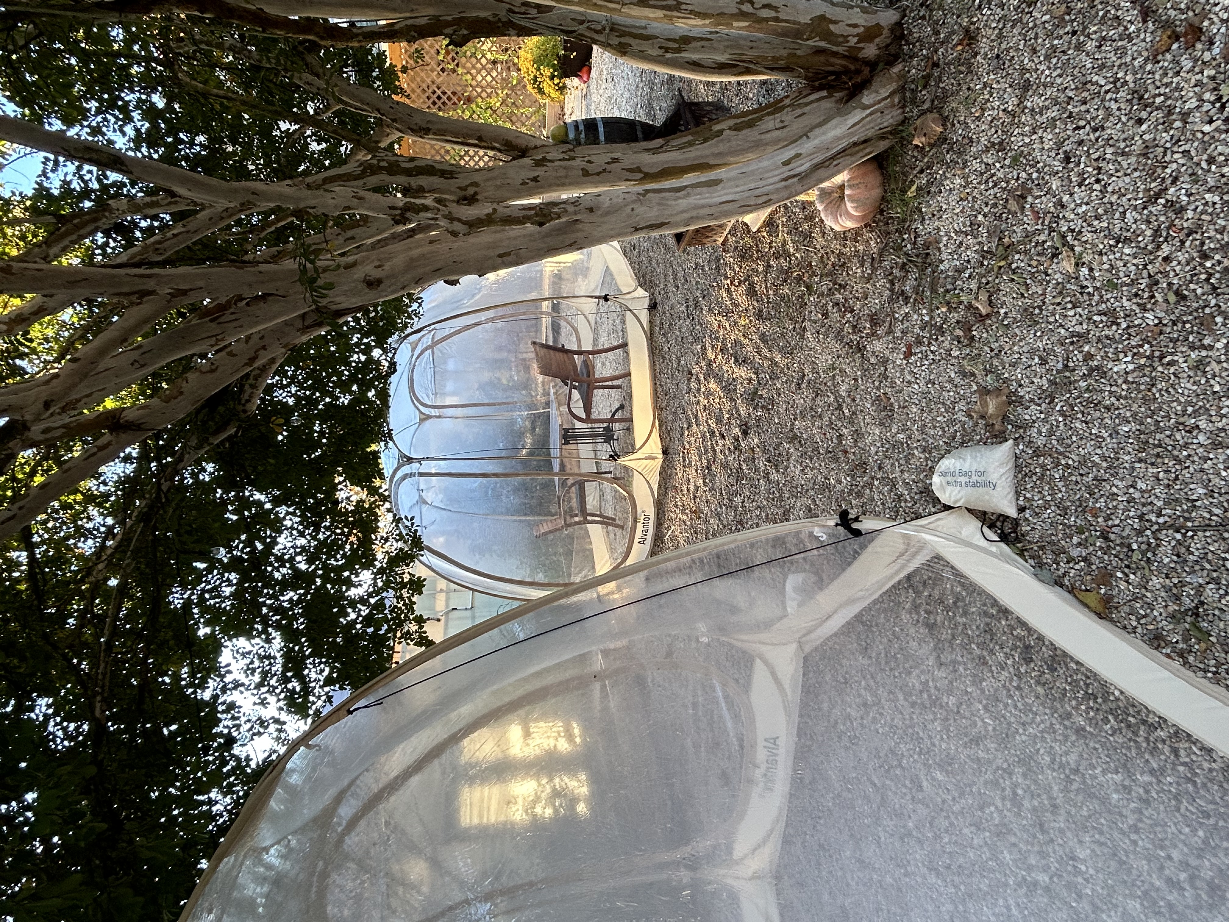 Beverly's Update, November 2024 | The Restaurant at Patowmack Farm