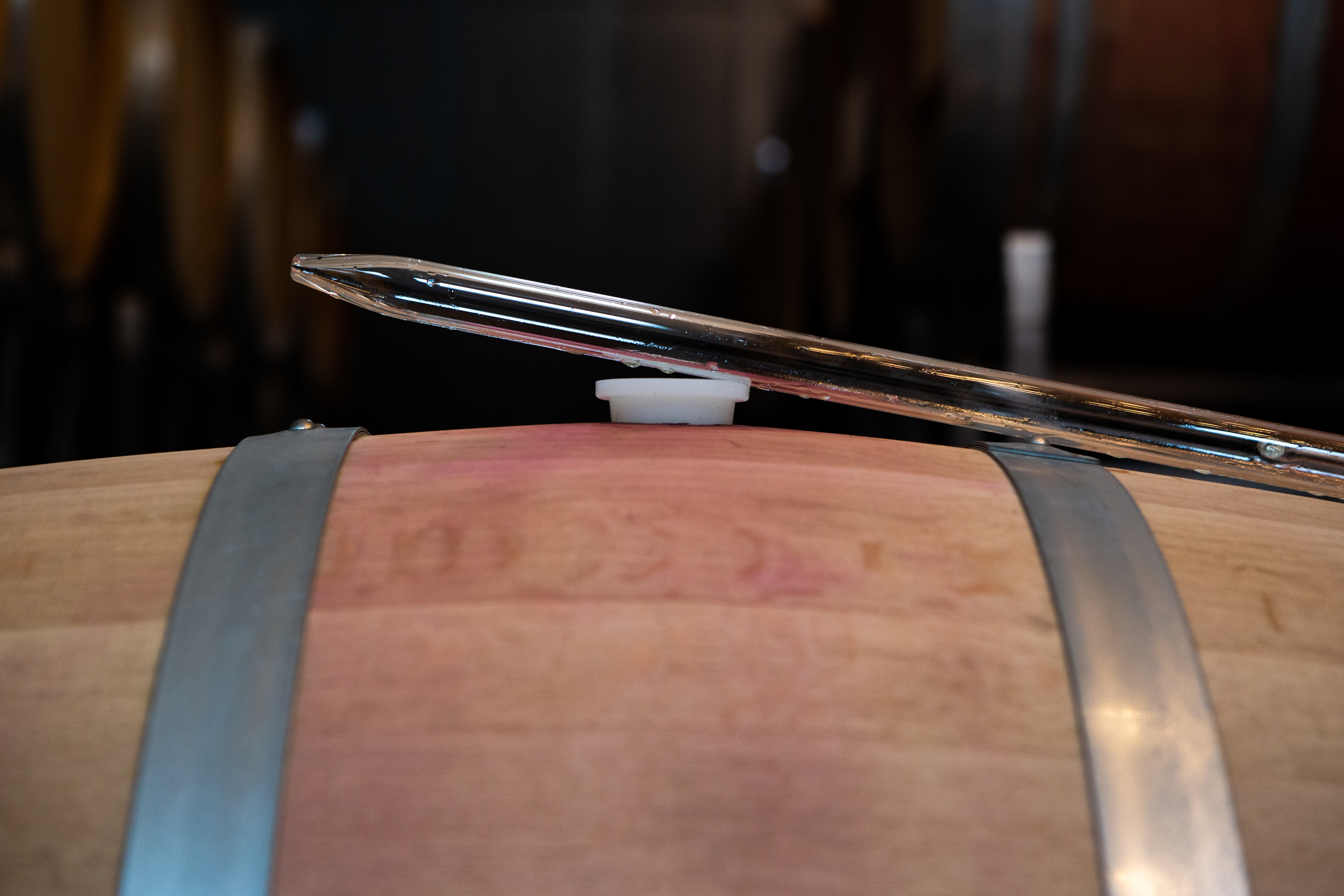 Guidelines | Slater Run in Upperville, VA