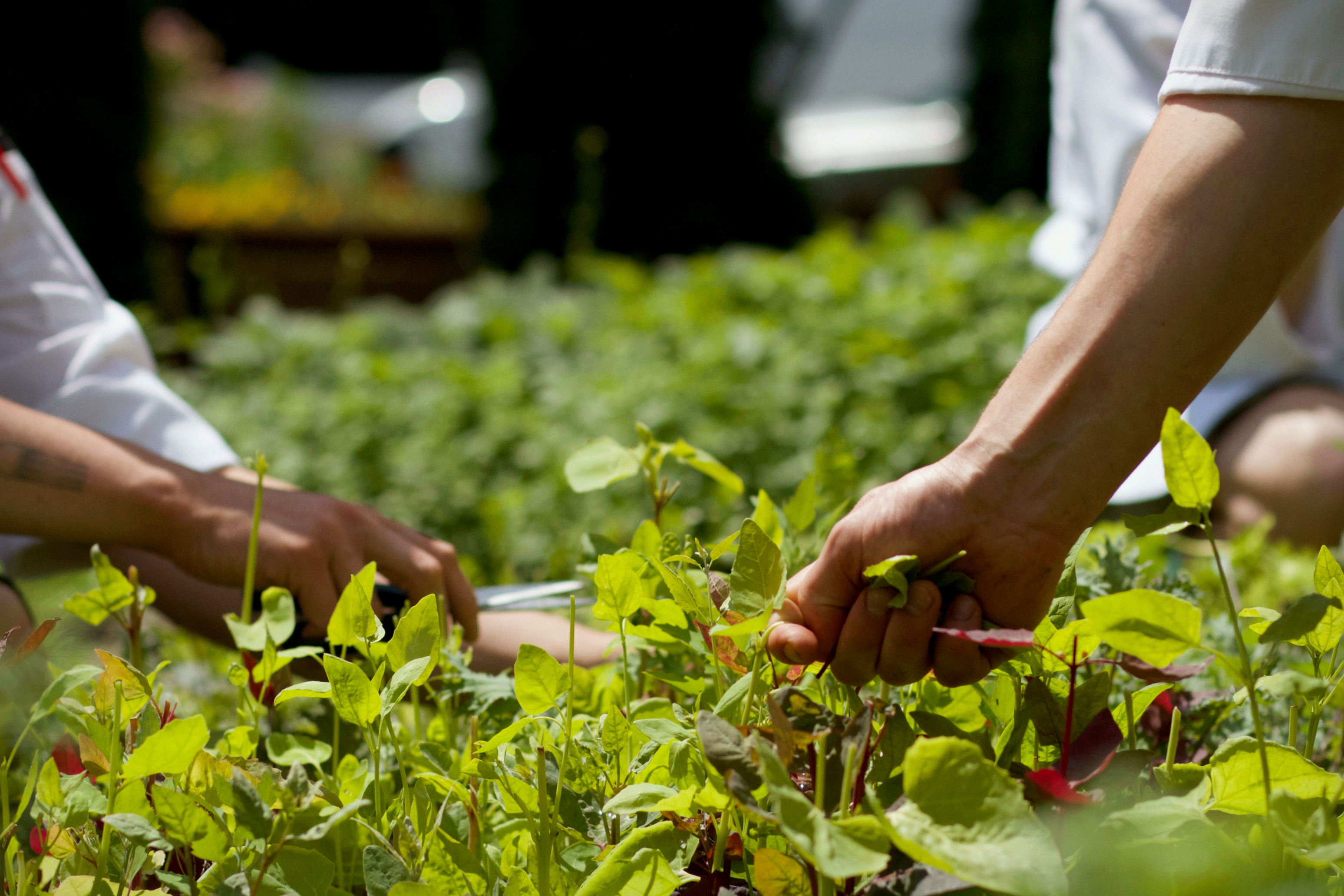 Partners | Vin 909 Winecafé in Annapolis, MD