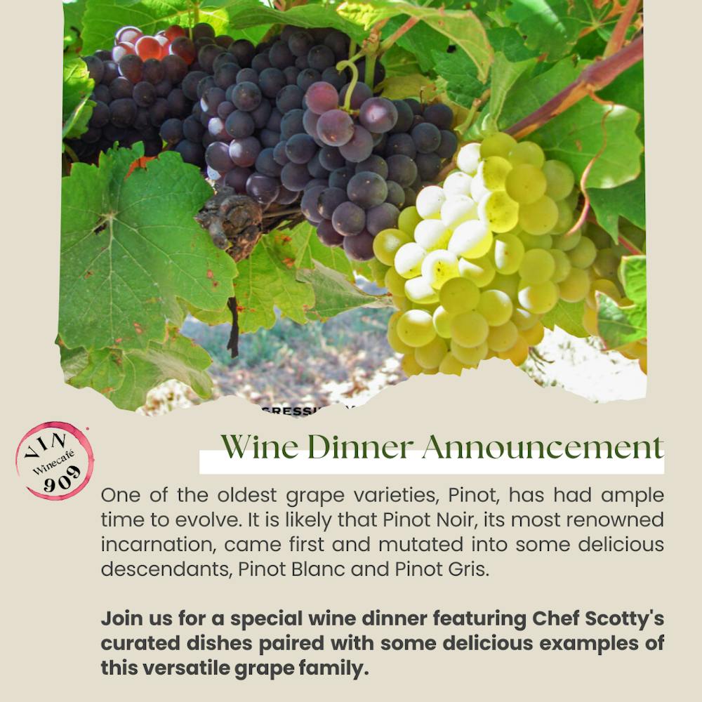 Wine Dinners | Vin 909 Winecafé in Annapolis, MD