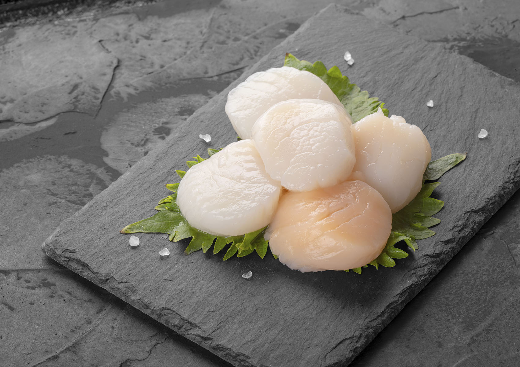 Gallery | Tokyo Wako - The Grand Style of Japanese Table Cooking