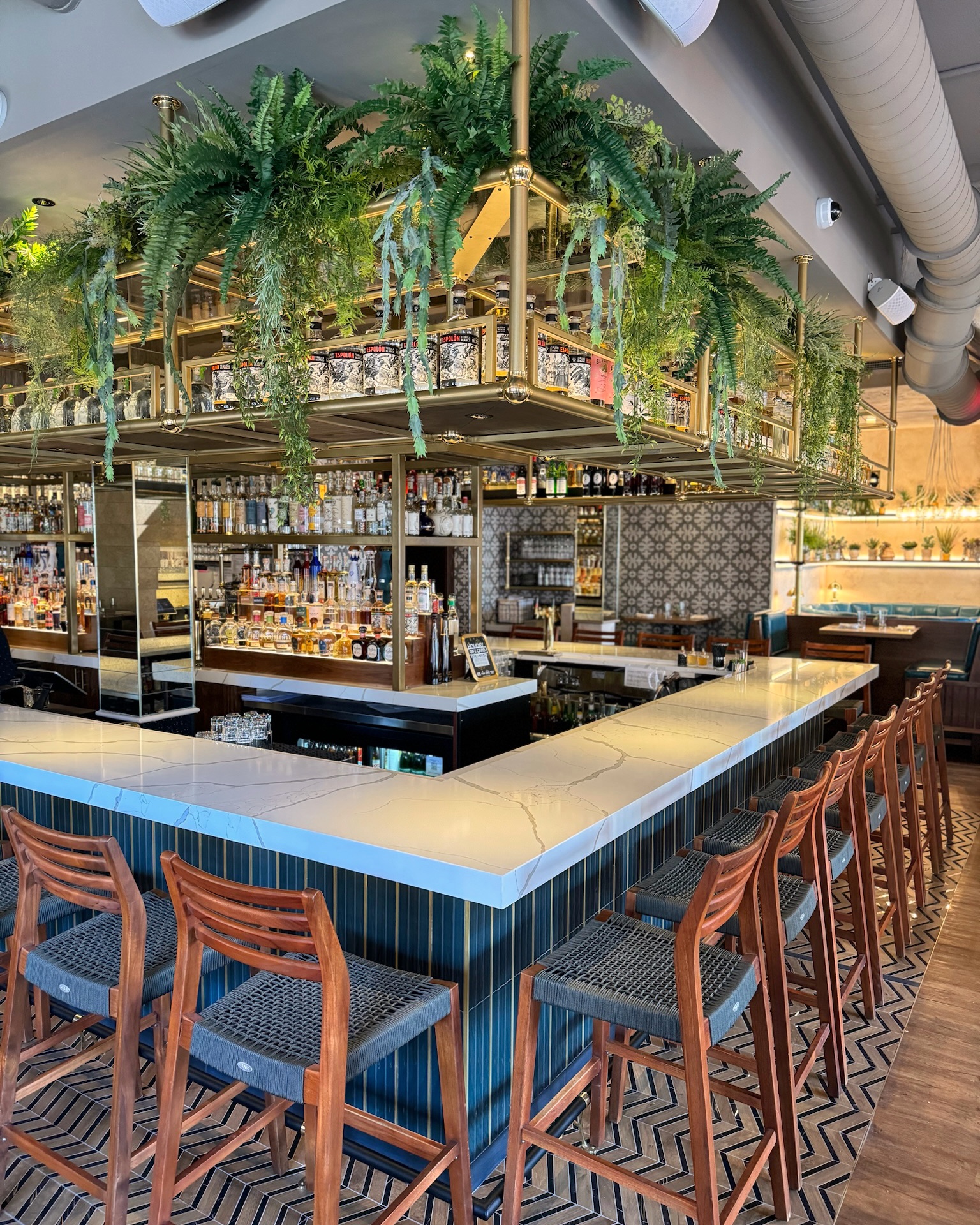 Painted Burro Harvard Square | Hours + Location | The Painted Burro ...