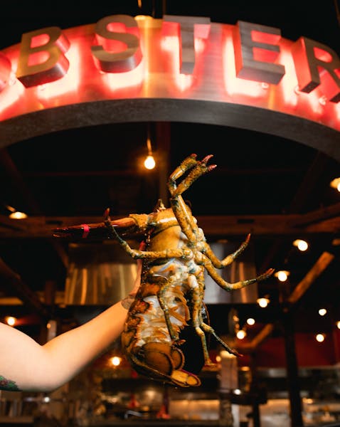 Creating a Memorable Dining Experience: Tips from Our Restaurant ...