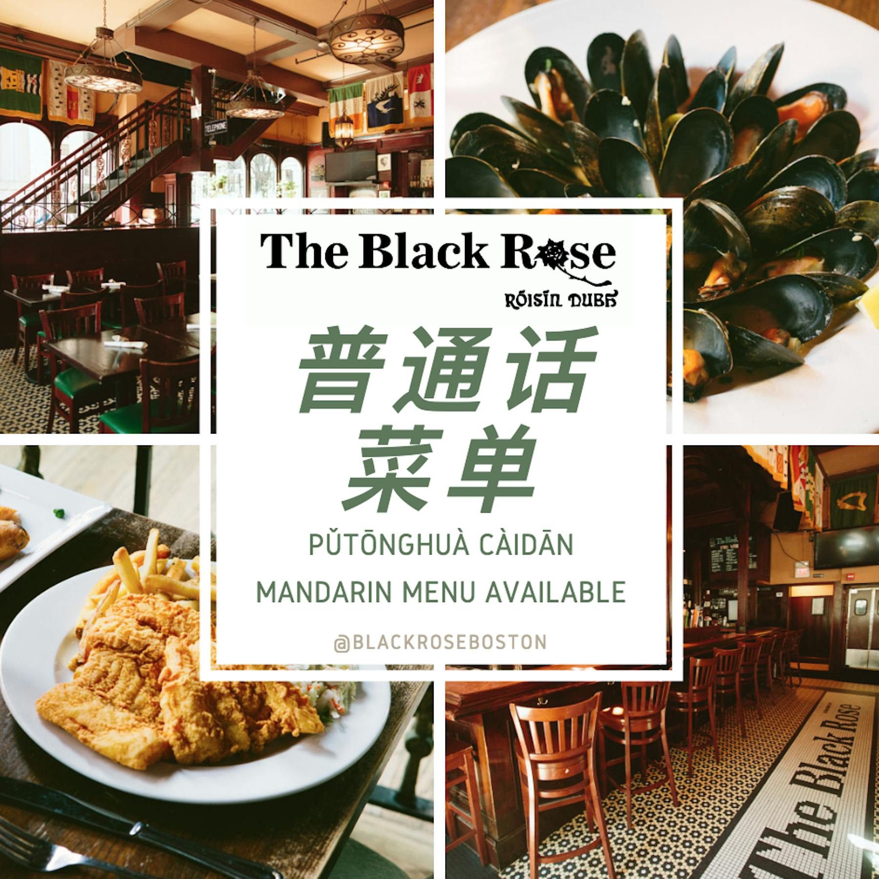 The Black Rose Menu's - Breakfast, Dinner, and Function Packet