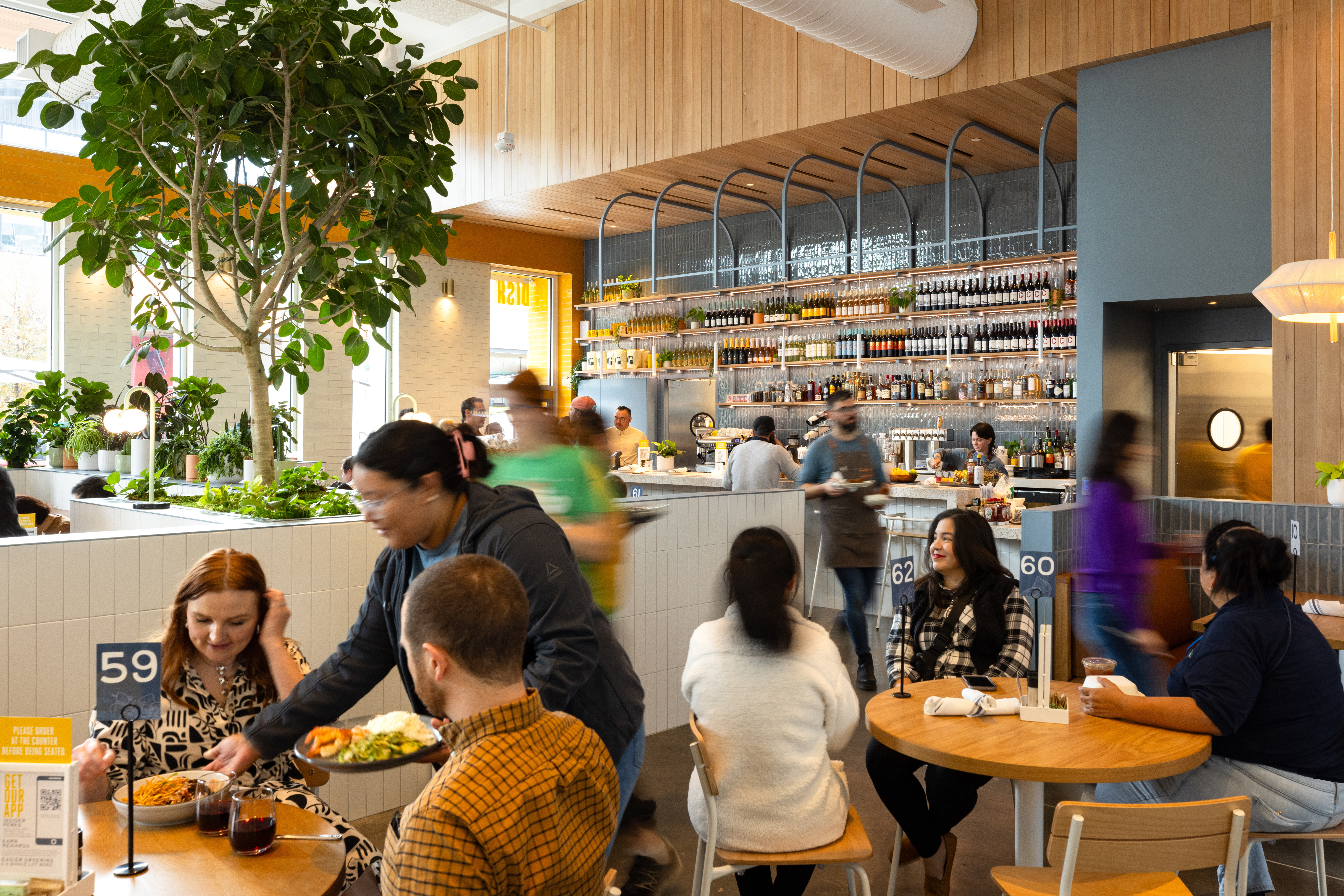 Dish Society | Farm-To-Table Restaurant | Houston & Katy, TX