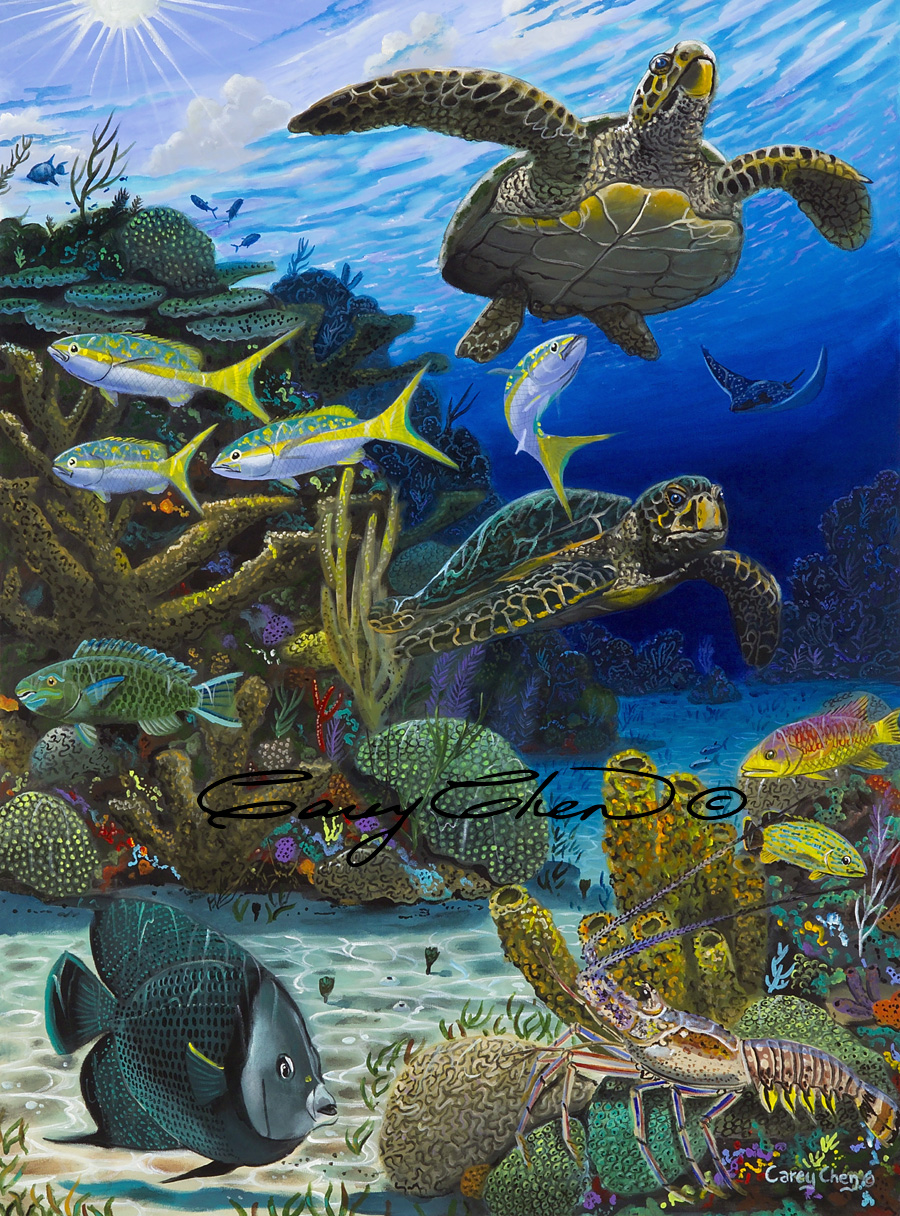 Cayman Turtle | Seminole Reef Grill | American Seafood Restaurant in ...