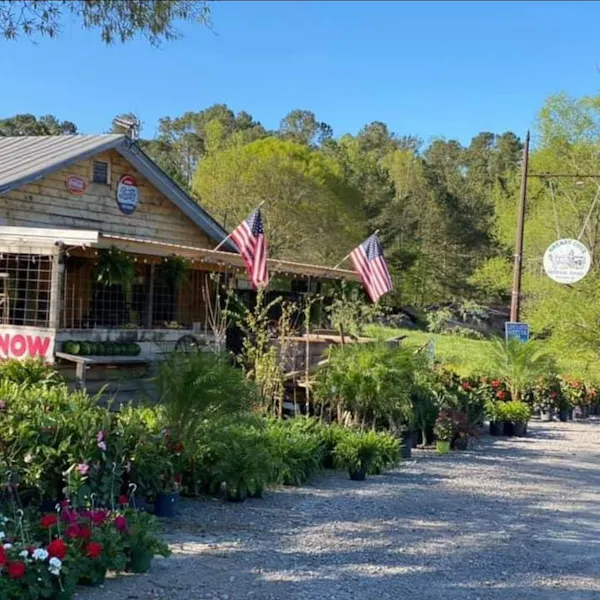 About | The Greasy Spoon in Gallant, AL